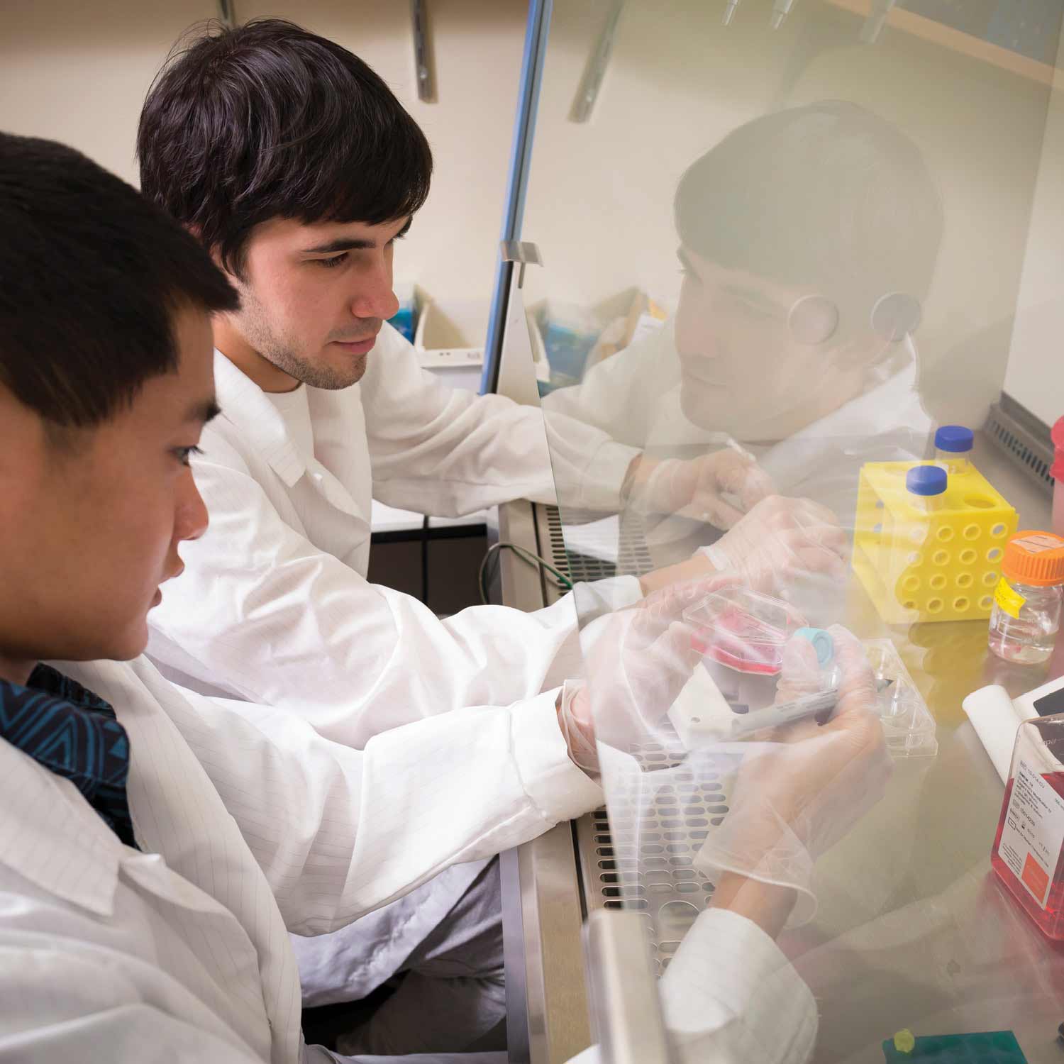 Biology Major (BS) | Creighton University