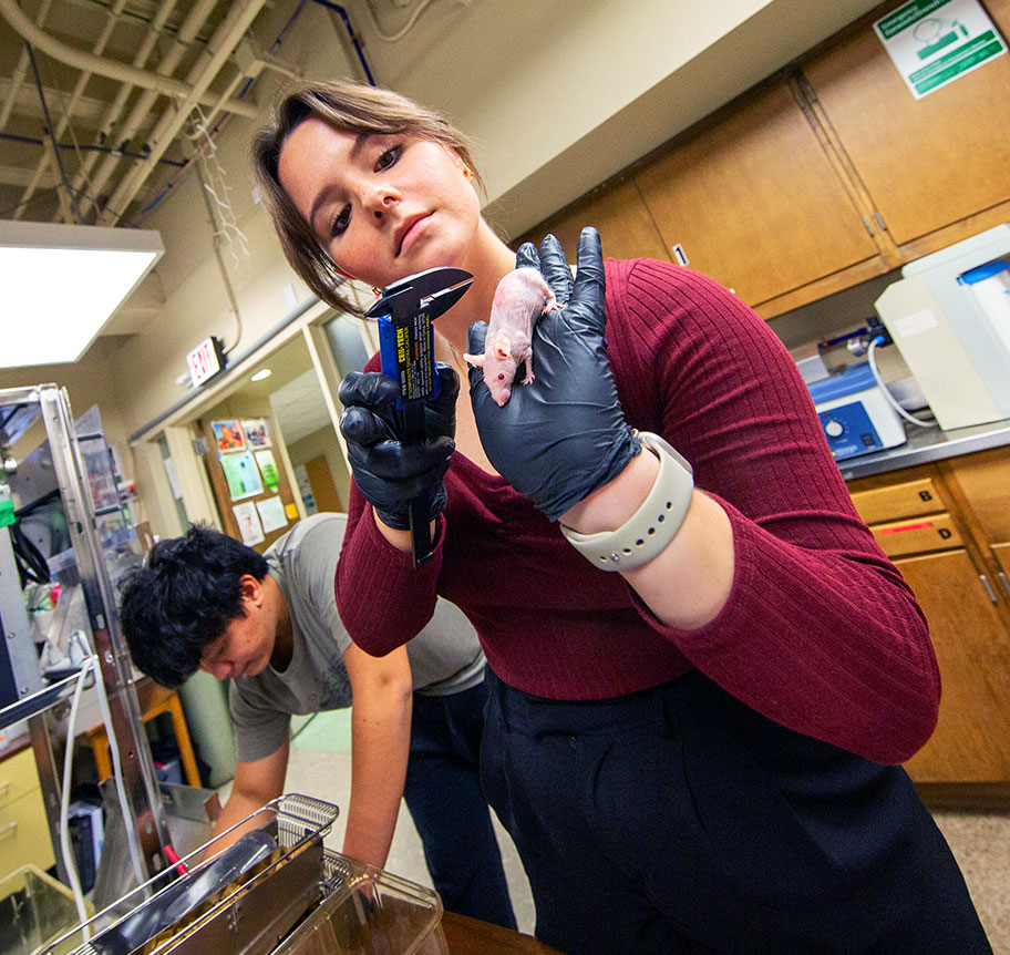 Biomedical Physics Major | Creighton University