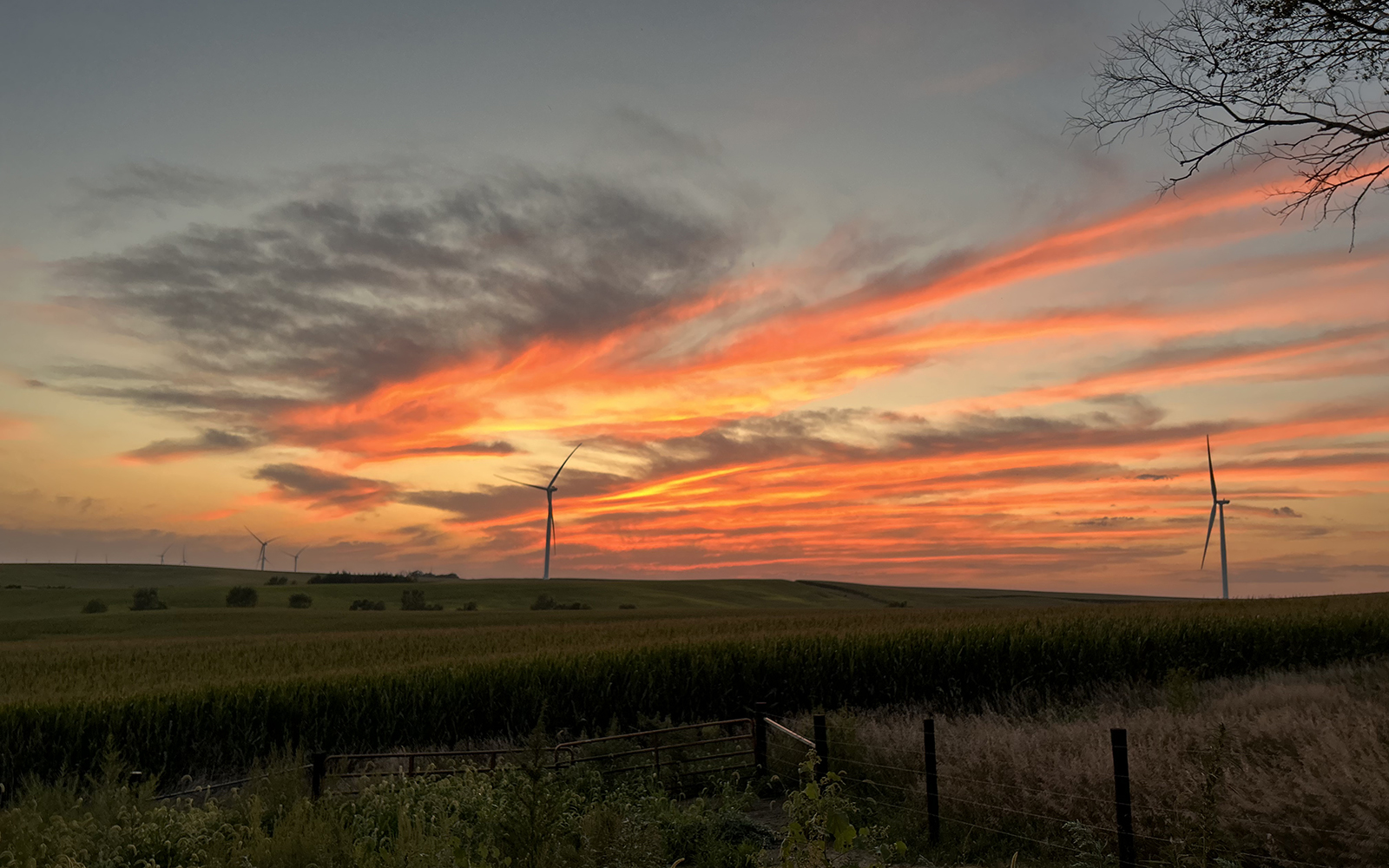 Institute For Population Health Announces Photo Contest Winners